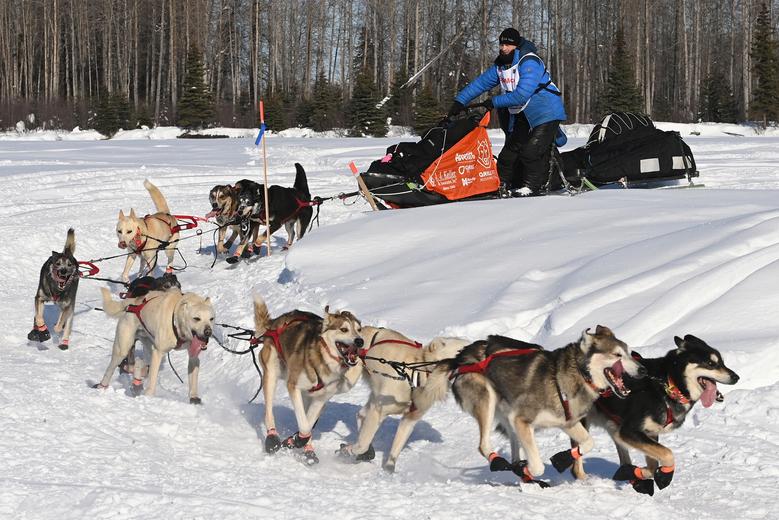 Fotos: Perros de trineo y distanciamiento social en Alaska | leonoticias