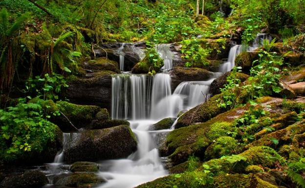 🍂 Los bosques de León más bonitos para visitar en otoño | leonoticias